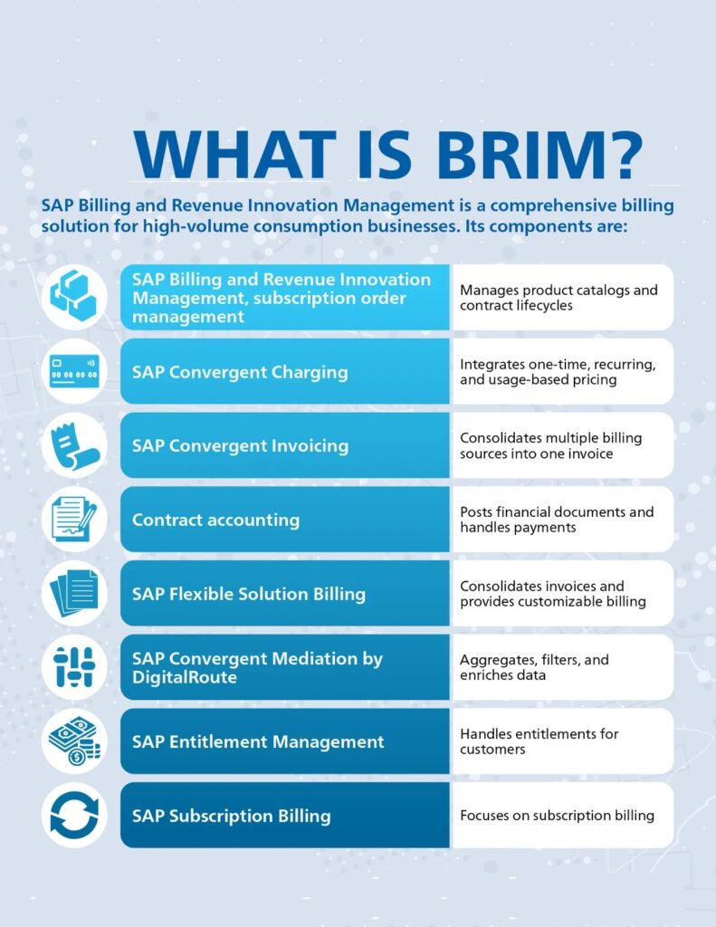 SAP S4 HANA BRIM - SOFTNSOL